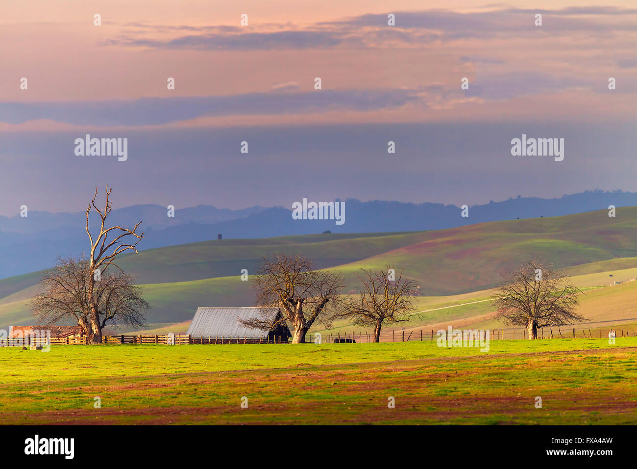 Country Barn in Spring Stock Photo - Alamy