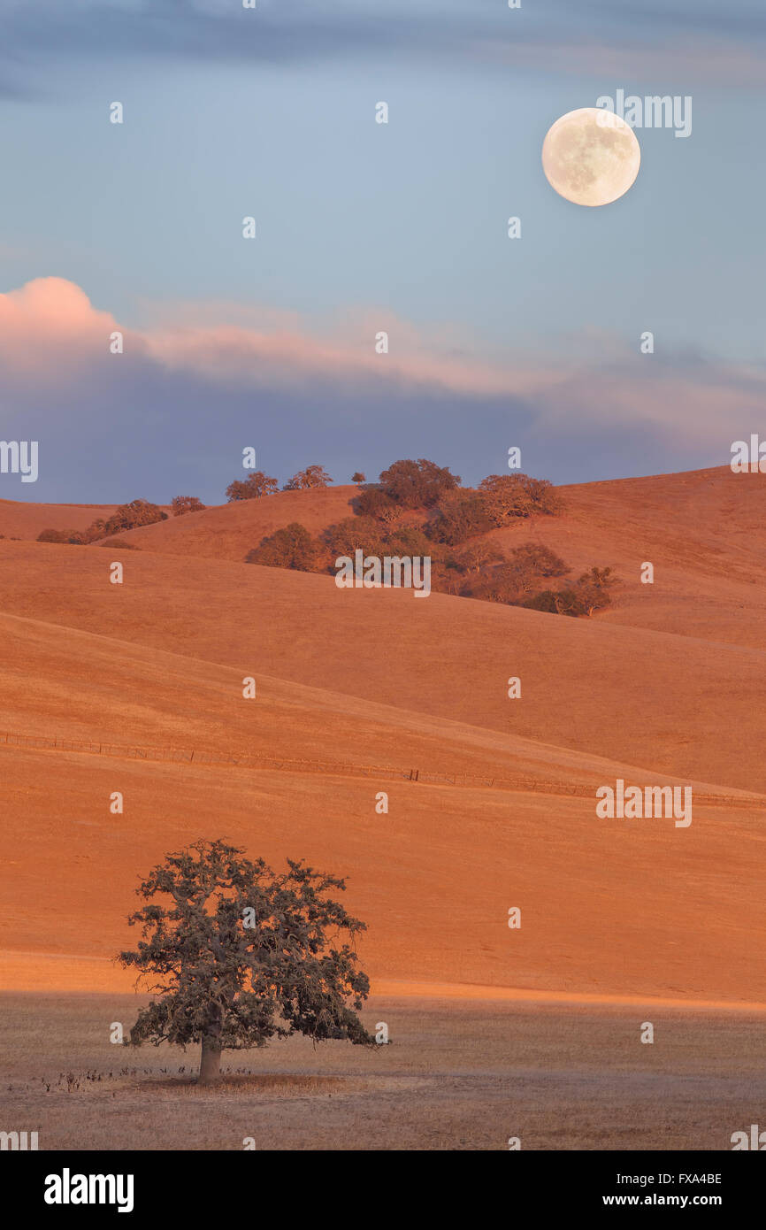 Moon california hi-res stock photography and images - Alamy