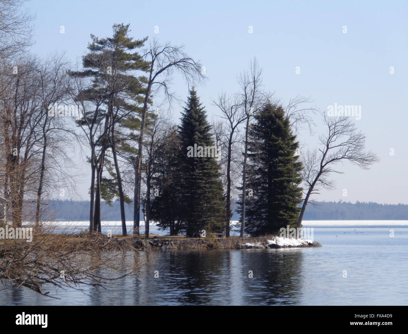 A small peninsula of land with trees, jutting out into a small lake ...