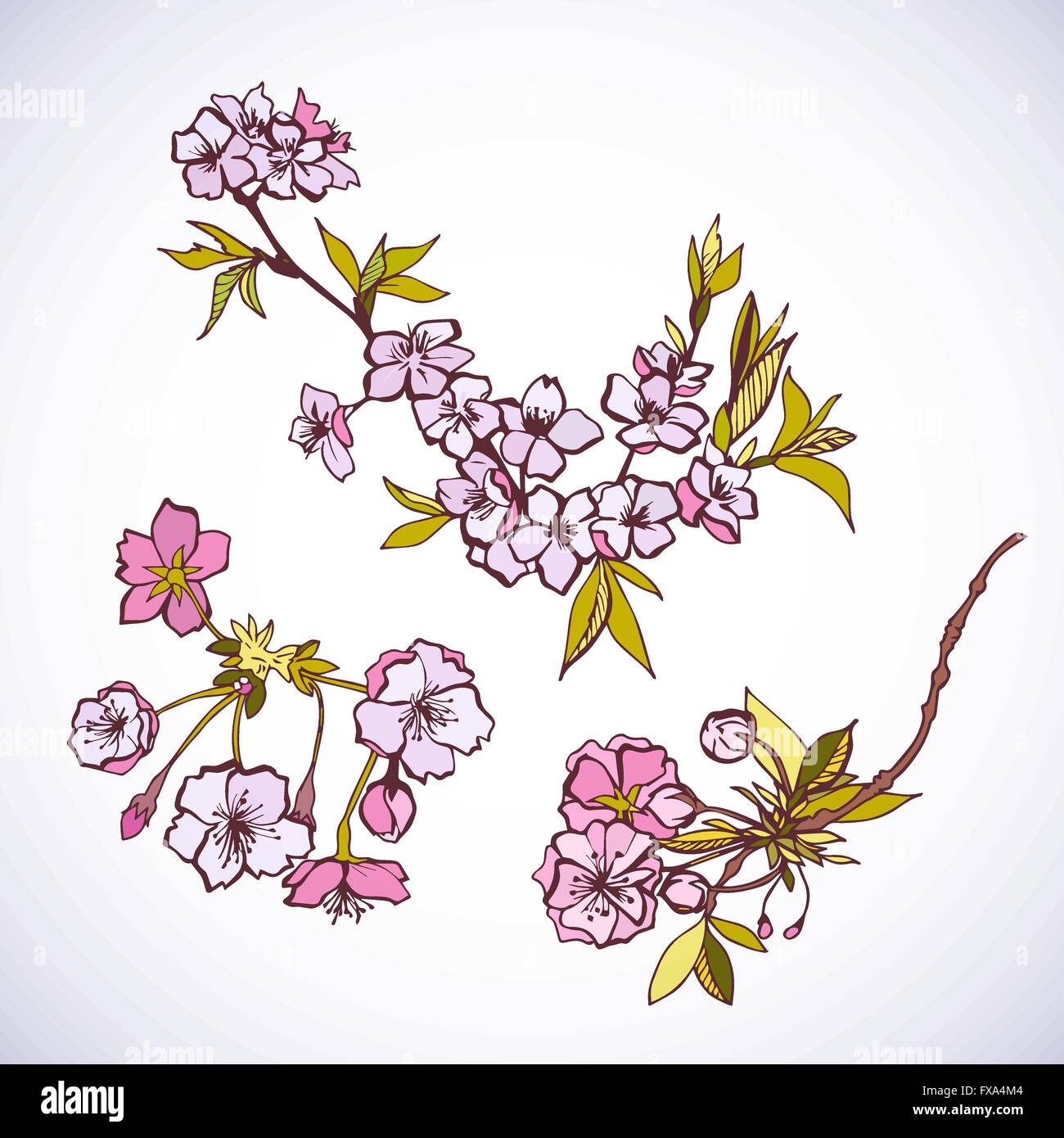 Blossoming sakura decorative elements Stock Vector Image & Art - Alamy