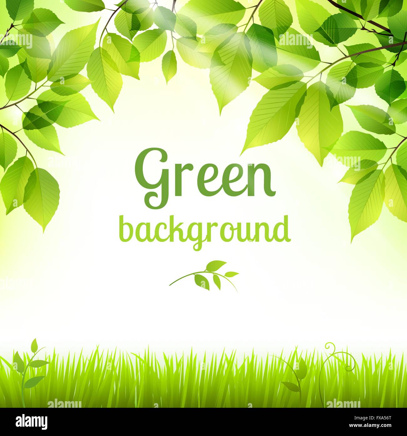 Natural green fresh foliage background Stock Vector Image & Art - Alamy
