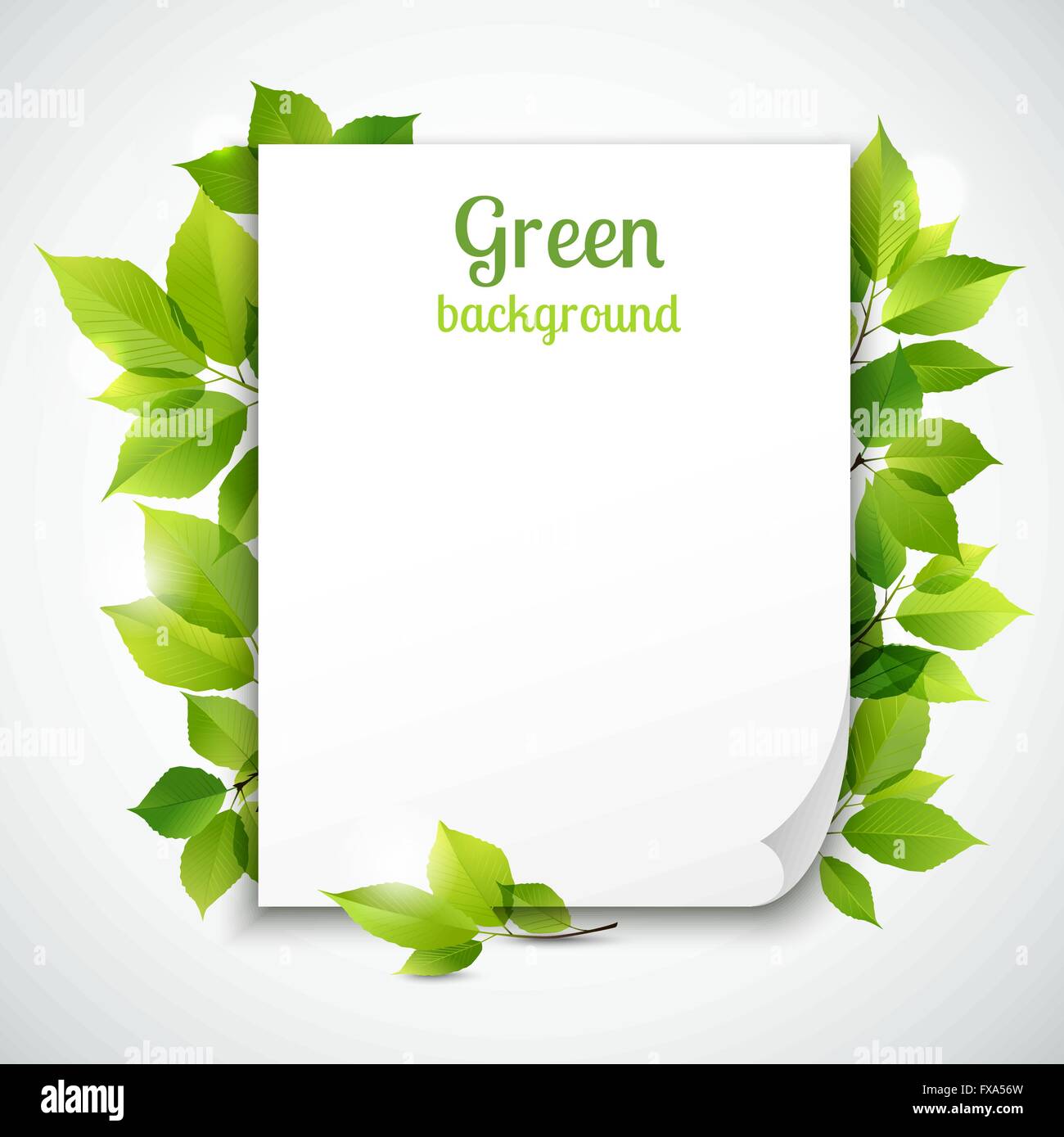 Green leaves frame template Stock Vector Image & Art - Alamy