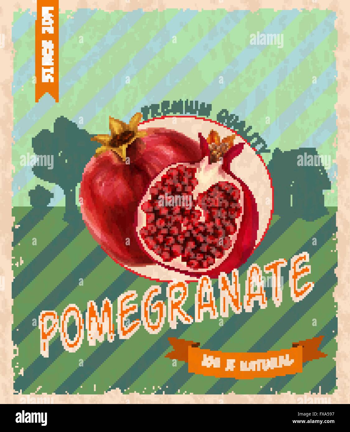 Pomegranate retro poster Stock Vector Image & Art - Alamy