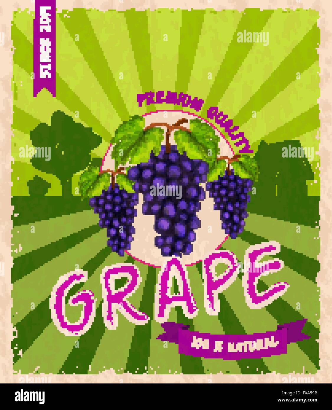 Forest grape vine Stock Vector Images - Alamy