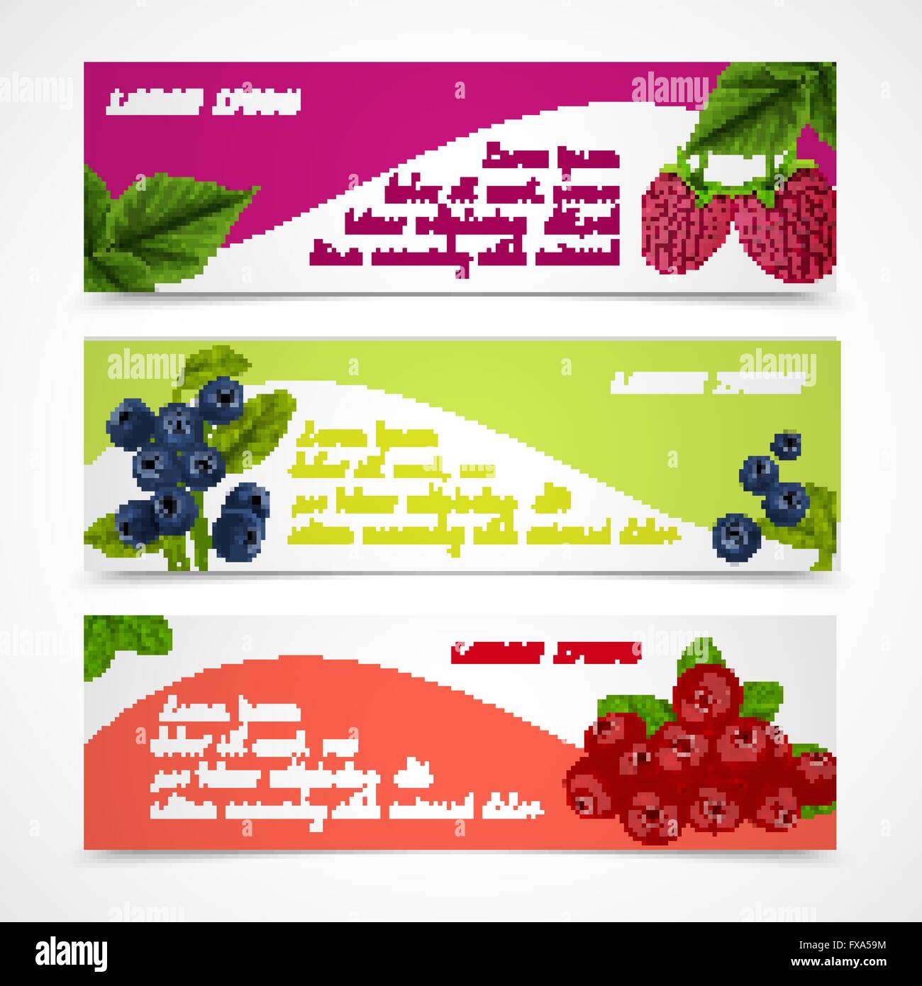 Berries banners set Stock Vector Image & Art - Alamy