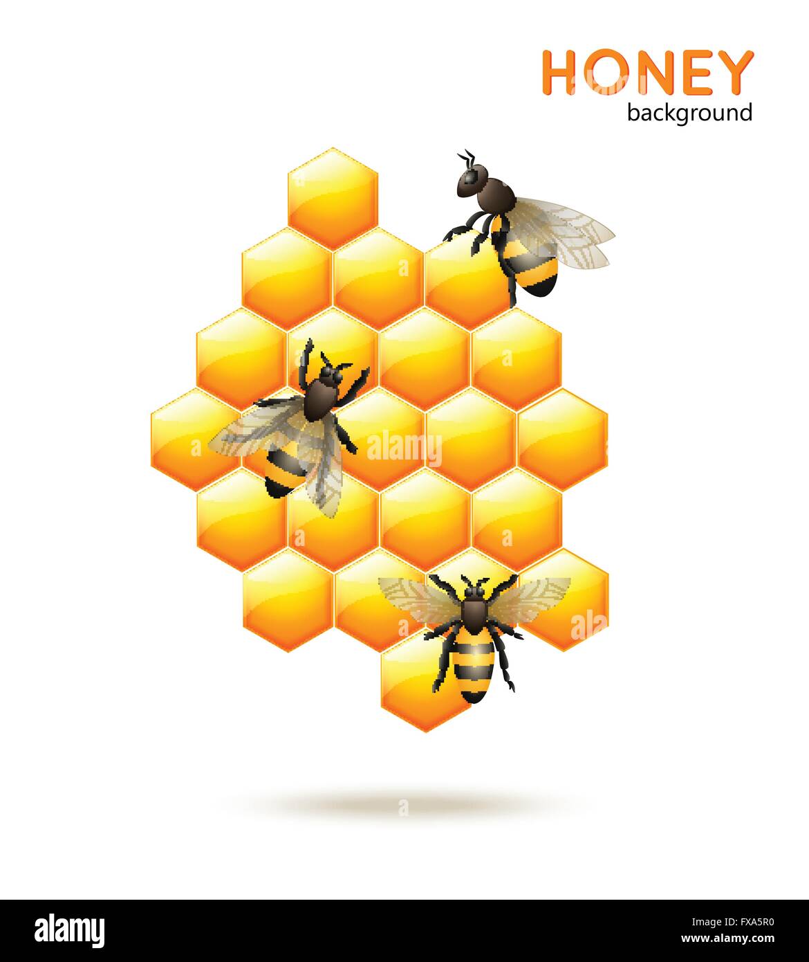 Honey bee background Stock Vector Image & Art - Alamy