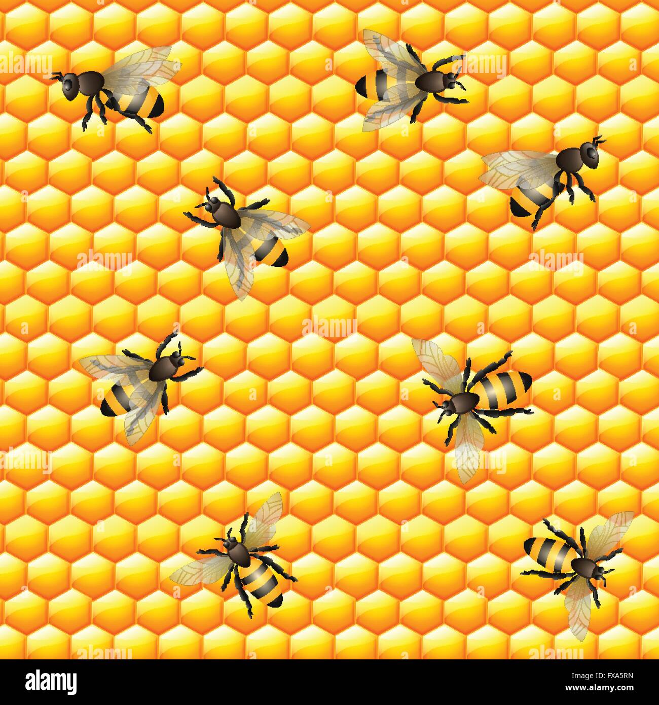 Honey bee seamless pattern Stock Vector Image & Art - Alamy