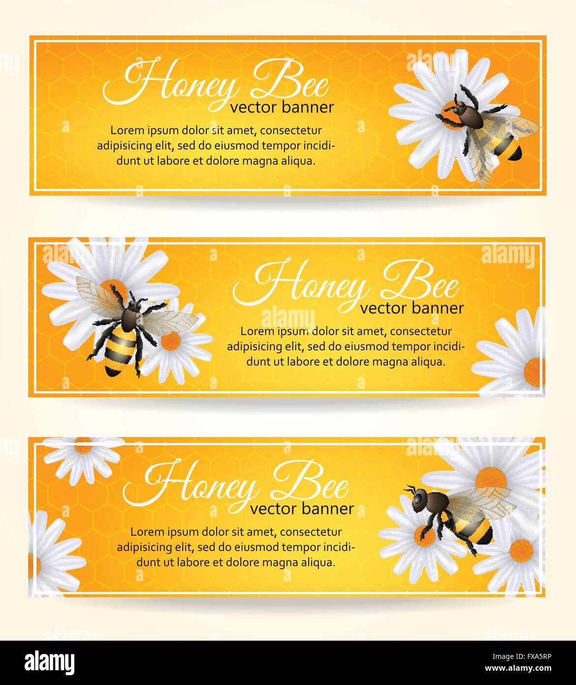 Bee banners set Stock Vector Image & Art - Alamy