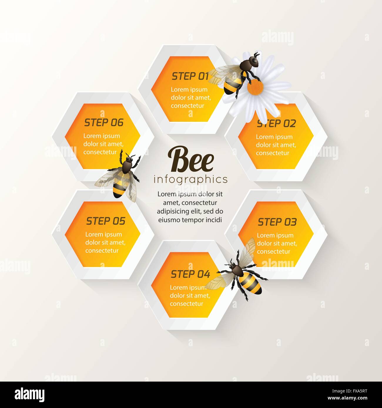 Bee infographics steps Stock Vector Image & Art - Alamy