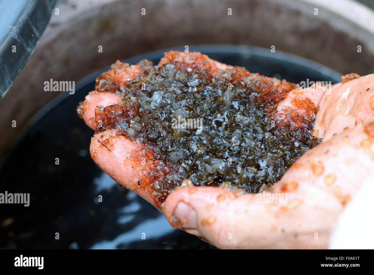 Gel crystals for planting hi-res stock photography and images - Alamy