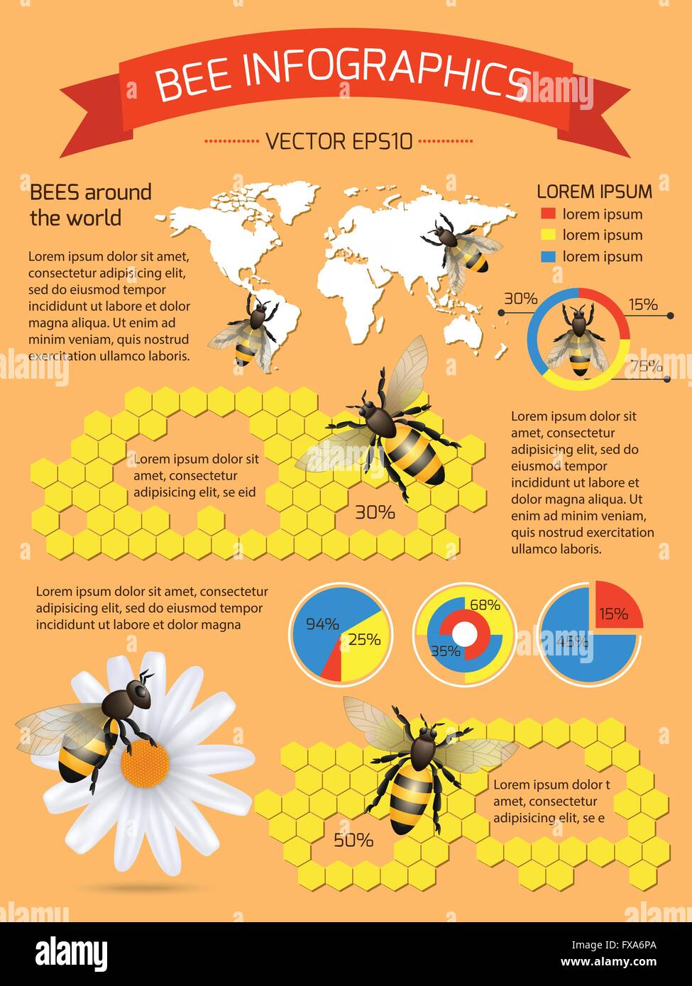 Bee infographics set Stock Vector Image & Art - Alamy