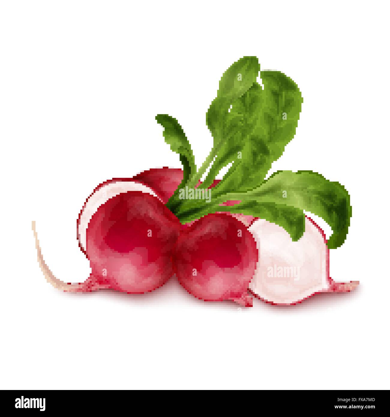 Food concept single fresh Stock Vector Images - Alamy