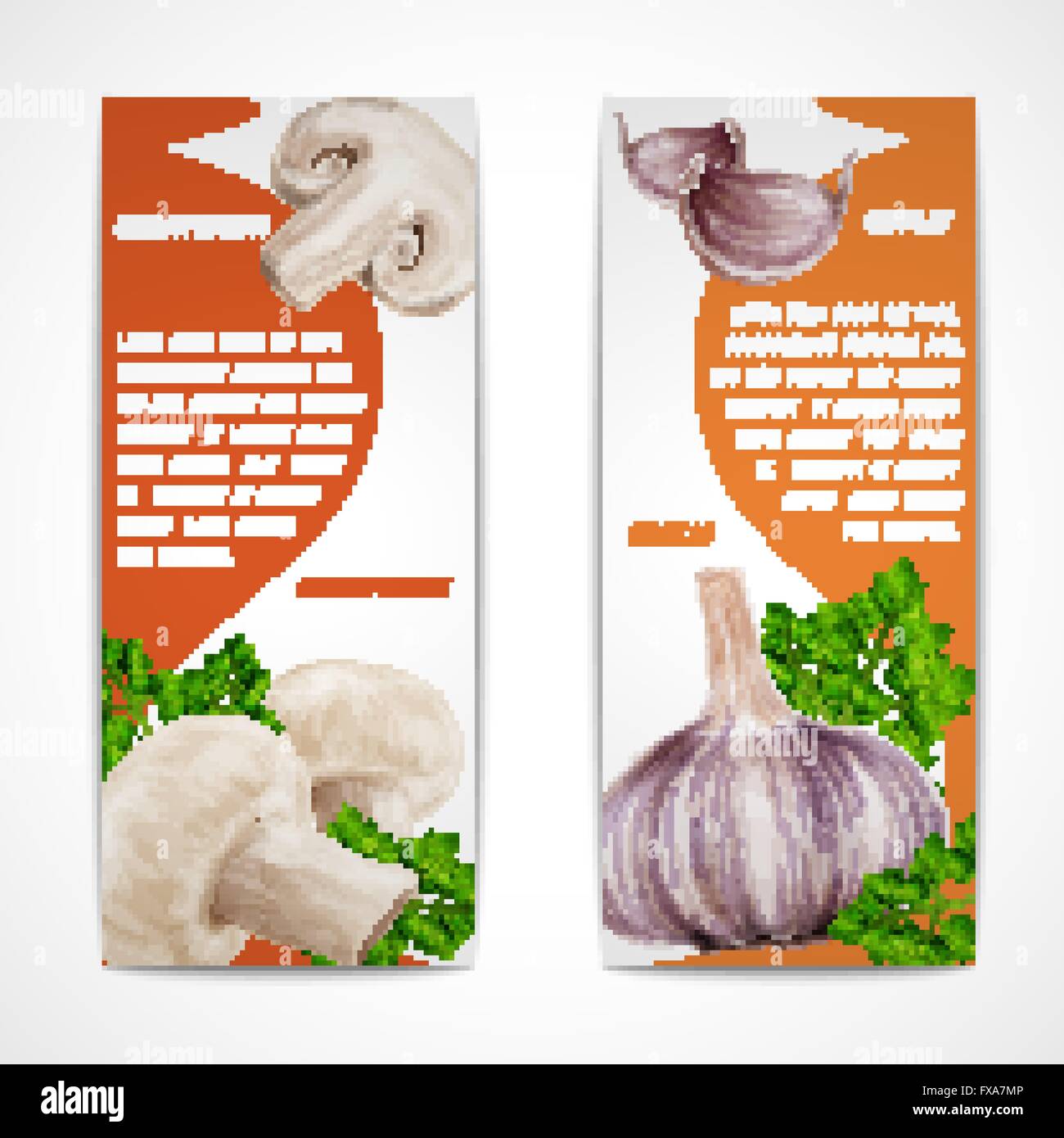 Fresh spring garlic on Stock Vector Images - Alamy