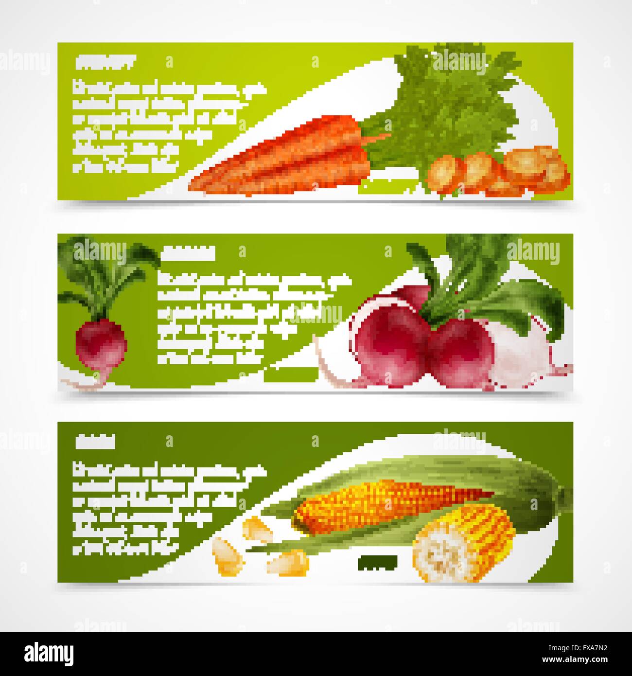 Corn radish carrot banners Stock Vector Image & Art - Alamy