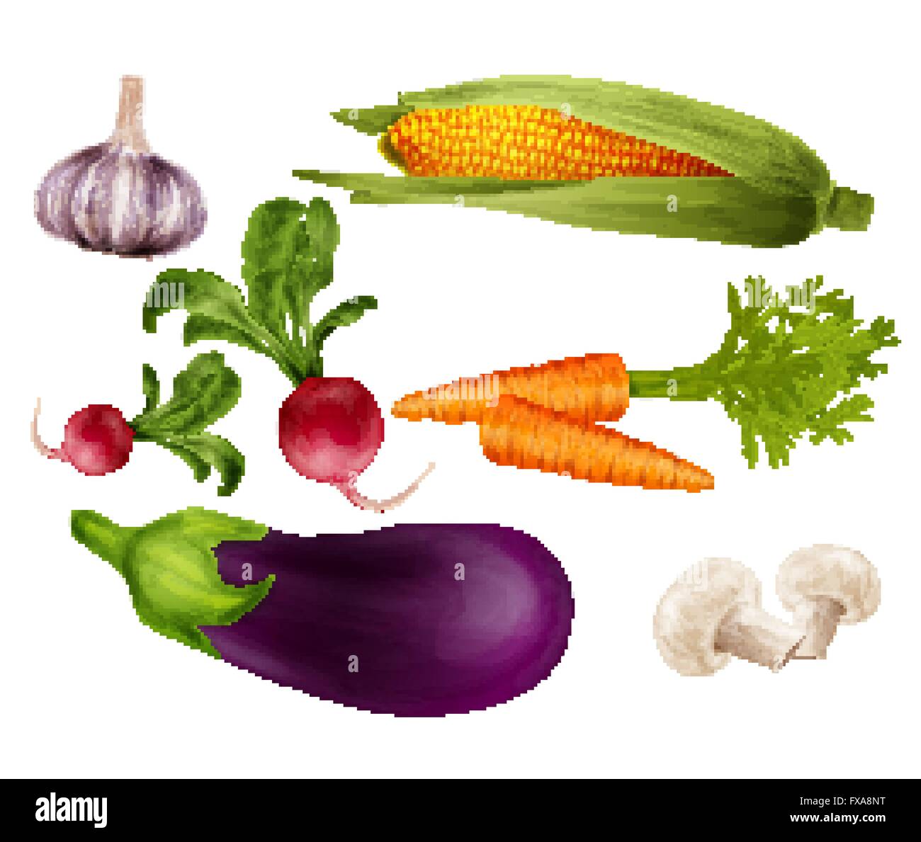 Vegetables realistic set Stock Vector Image & Art - Alamy Vegetables realistic set Stock Vector Image & Art - Alamy