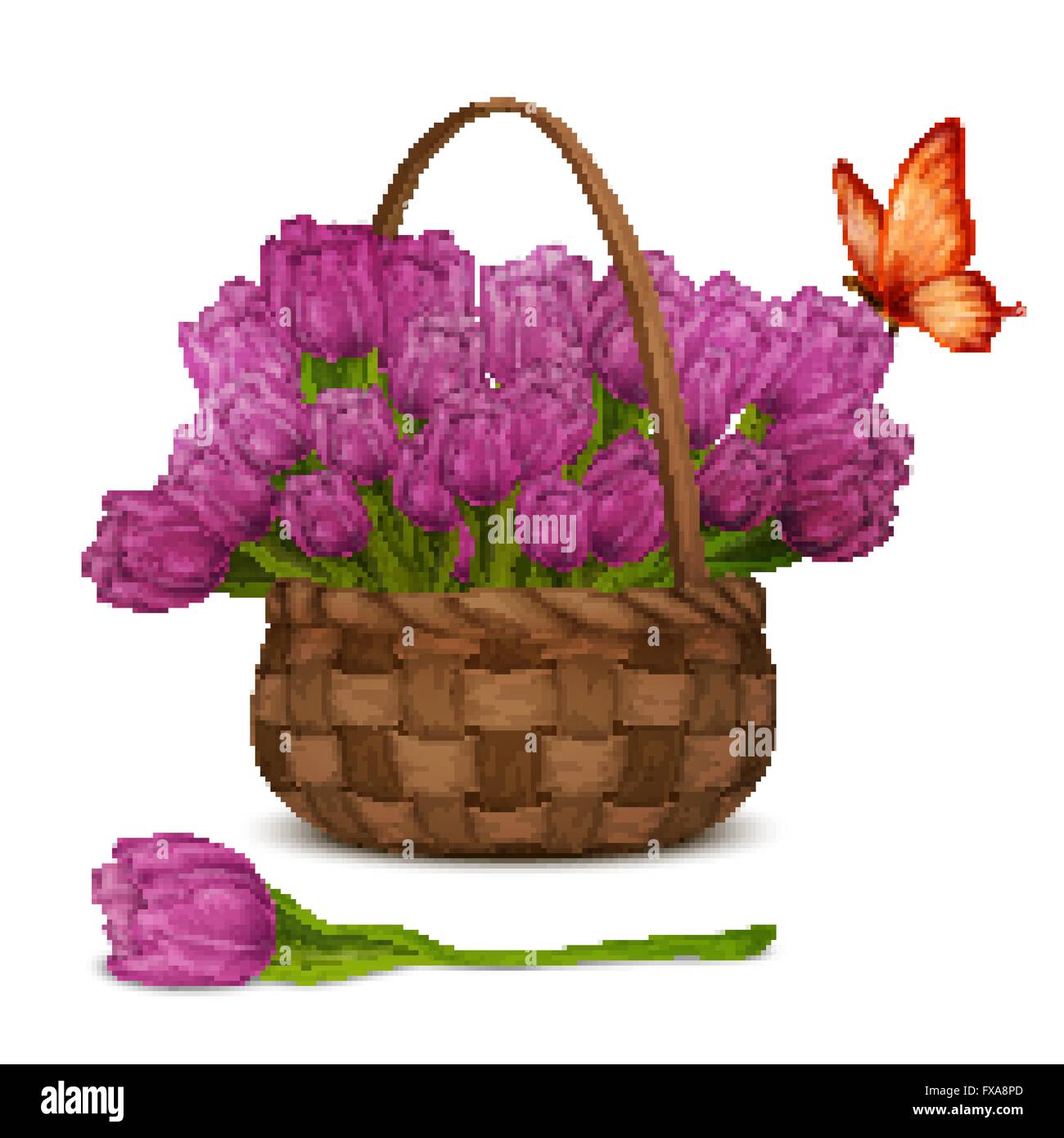 White tulip flowers in Stock Vector Images - Alamy