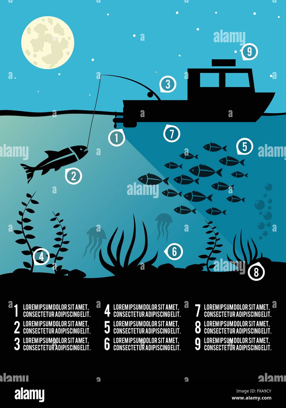 Infographic fishing poster Stock Vector Image & Art - Alamy