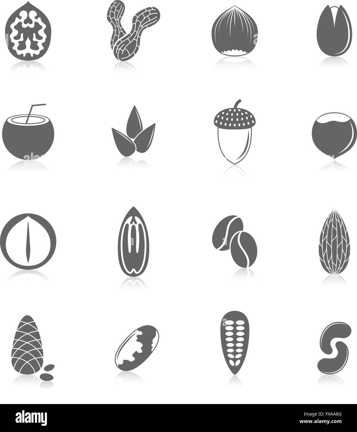 Set of nuts icons Stock Vector Image & Art - Alamy