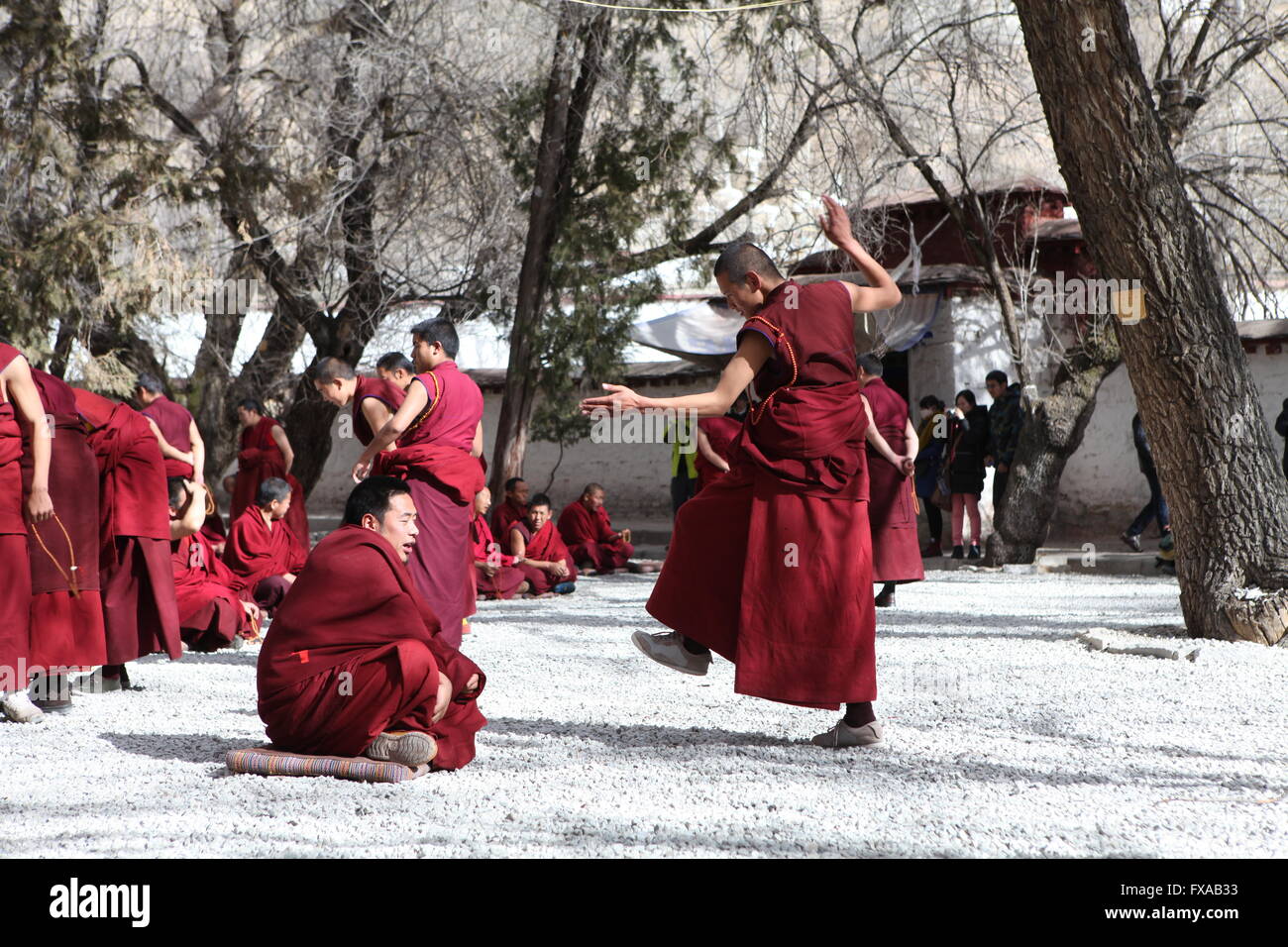 Debating Monks at Sera Monastery in Lhasa, Tibet Stock Photo - Alamy