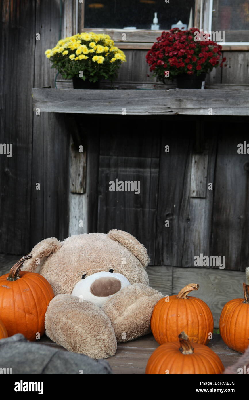 Teddy bear autumn hi-res stock photography and images - Alamy