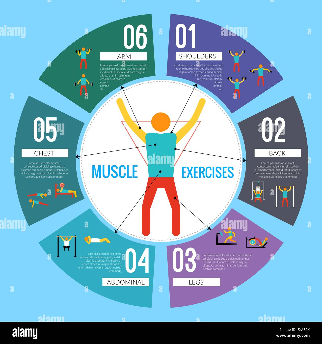 Workout training infographics Stock Vector Image & Art - Alamy