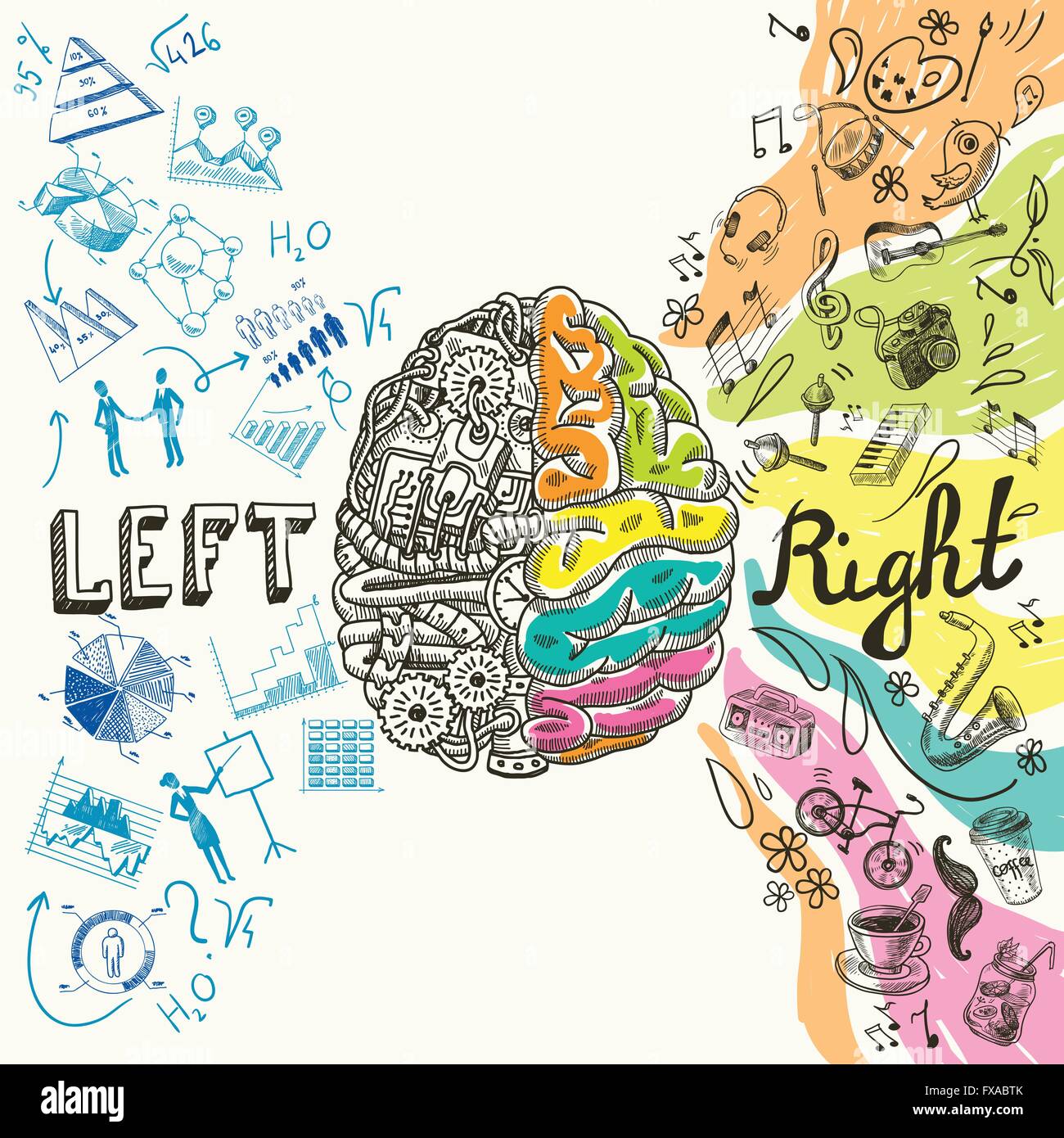 Brain hemispheres sketch Stock Vector Image & Art - Alamy