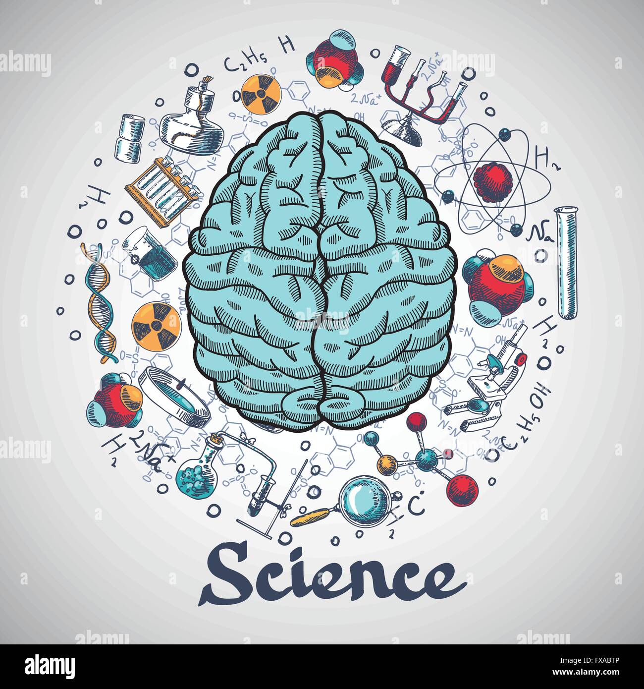 Brain sketch science concept Stock Vector Image & Art - Alamy