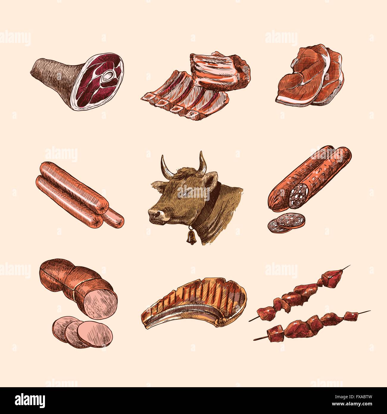 Sketch meat icons Stock Vector Image & Art - Alamy