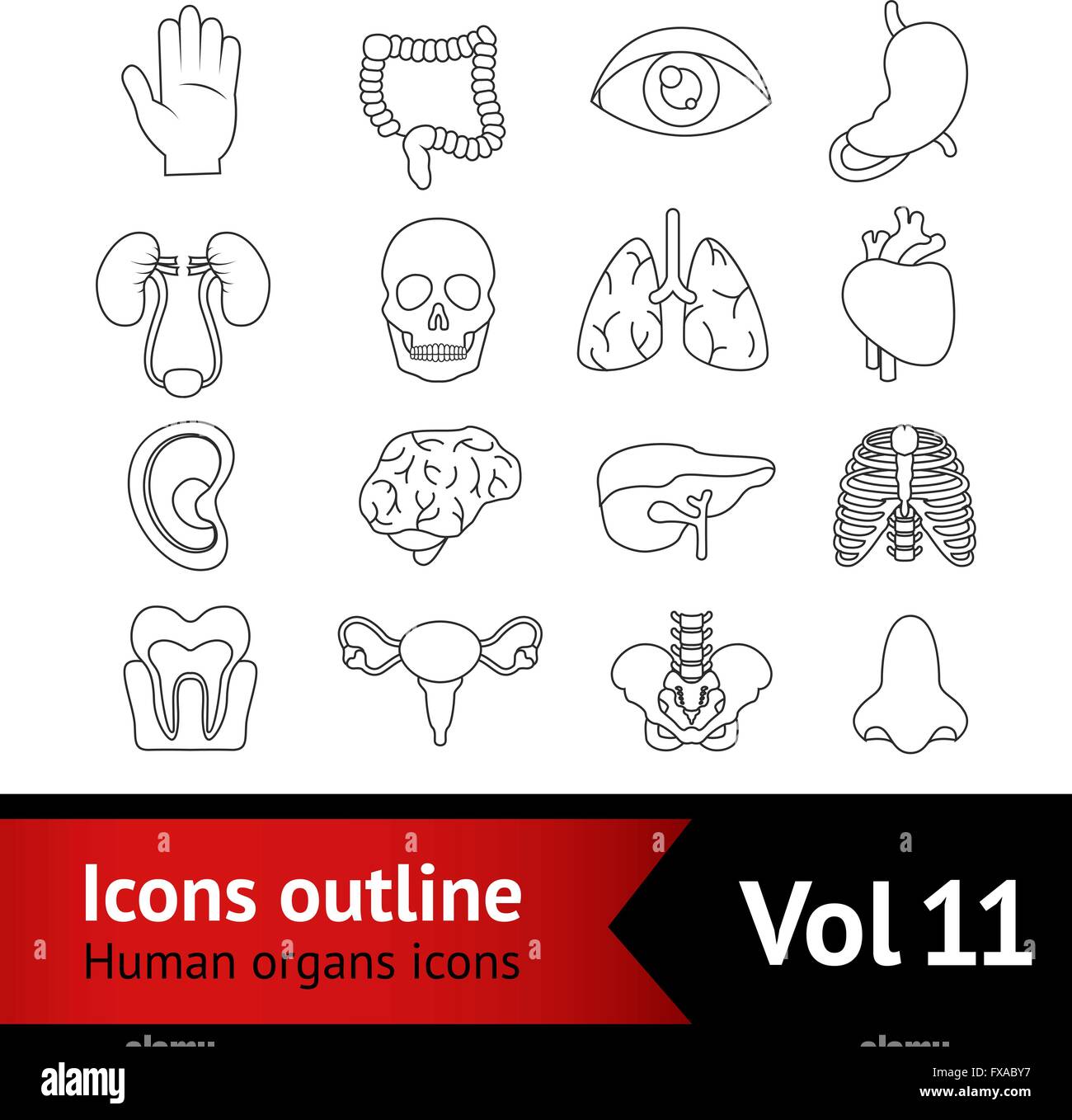 Human Organs Icons Set Stock Vector Image & Art - Alamy