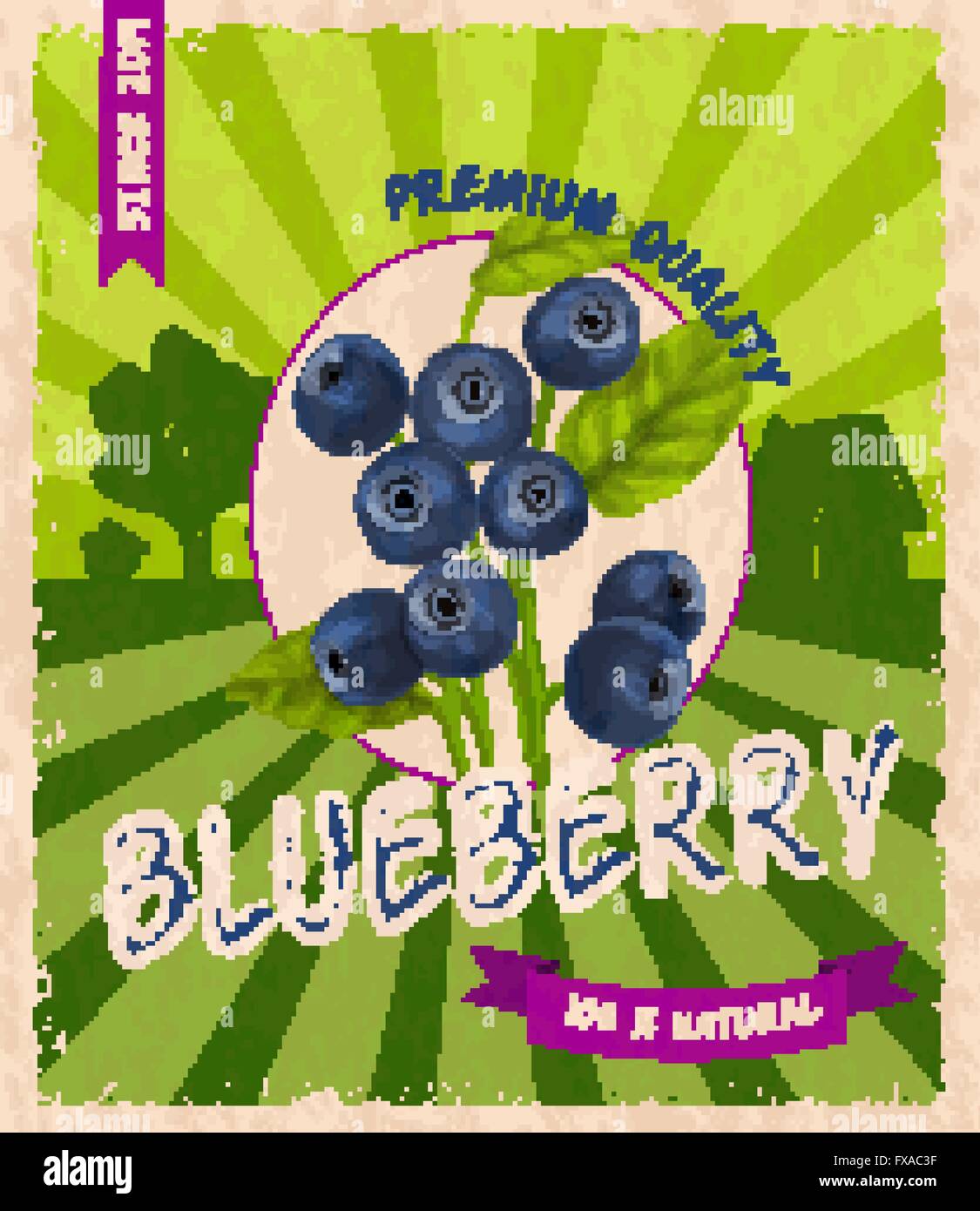 Blueberry retro poster Stock Vector Image & Art - Alamy