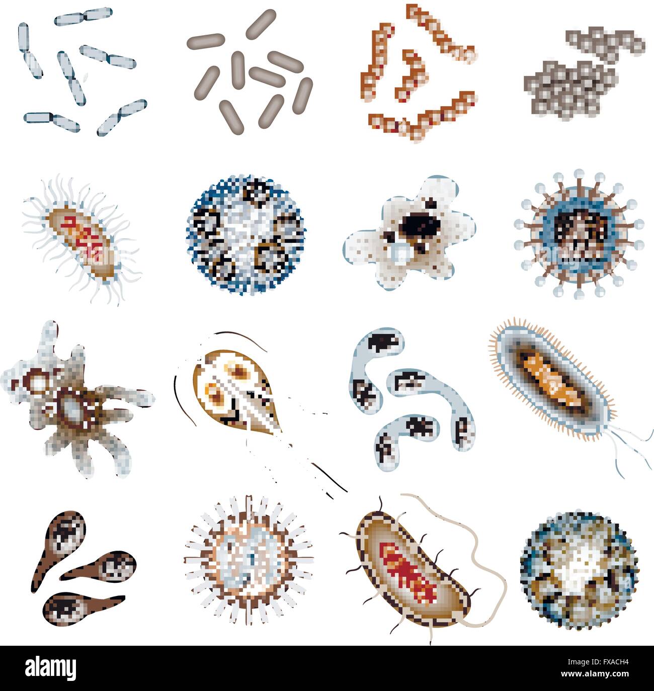 Bacteria and Virus Cells Stock Vector Image & Art - Alamy