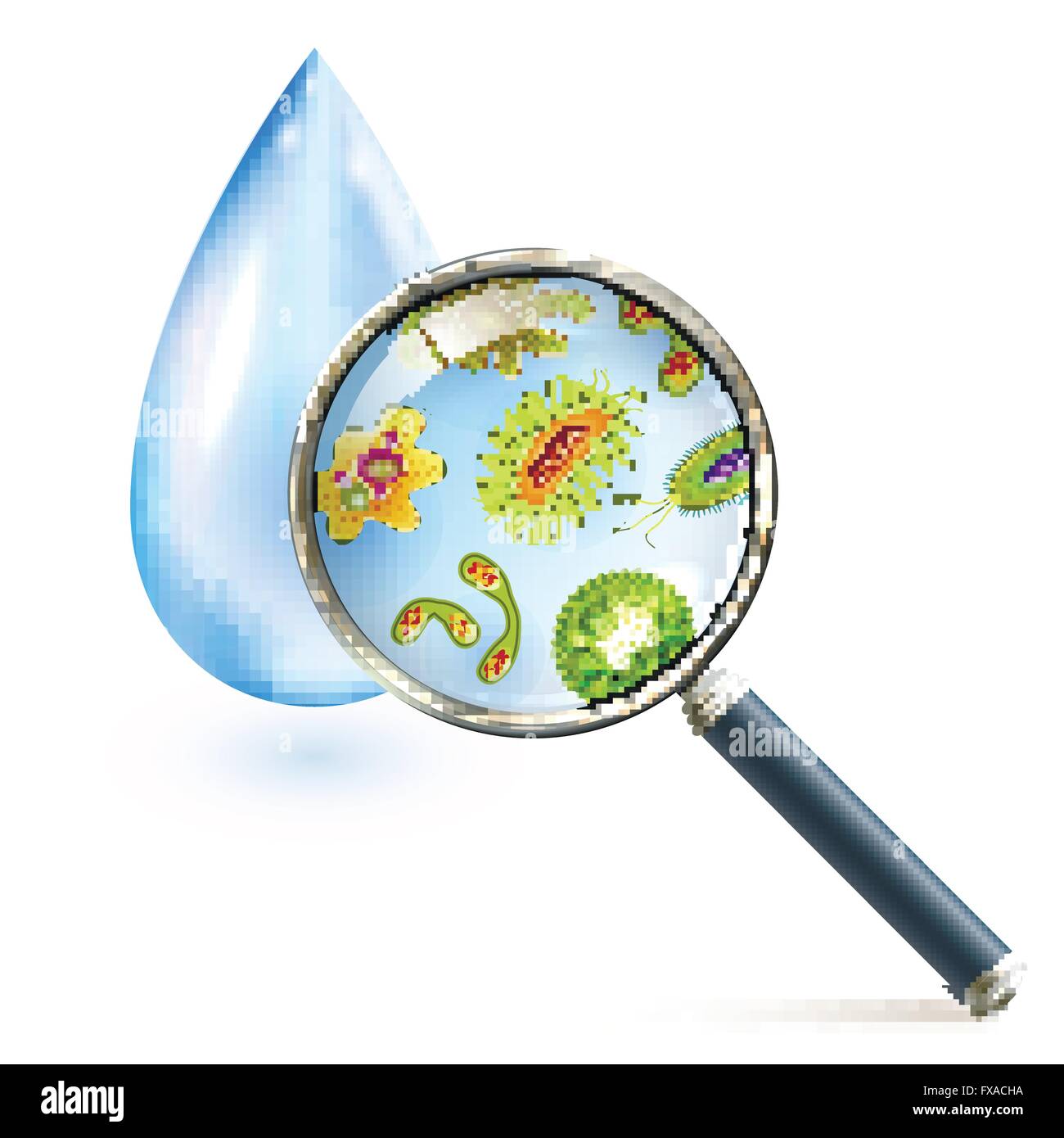 Water bacteria magnifier hi-res stock photography and images - Alamy