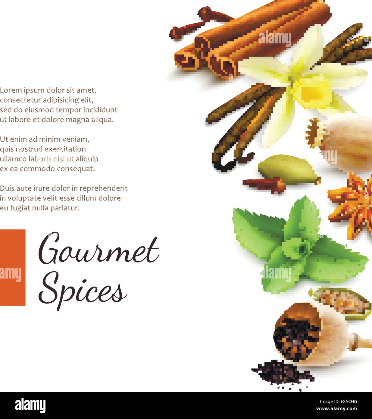 Spices on white background Stock Vector Image & Art - Alamy