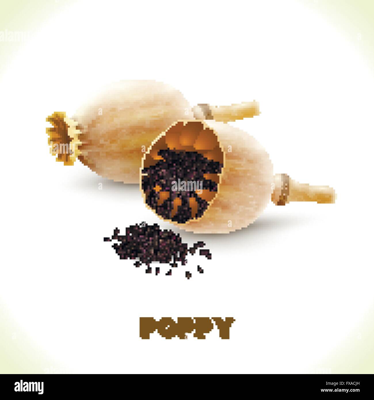 Poppy seeds white background Stock Vector Images - Alamy