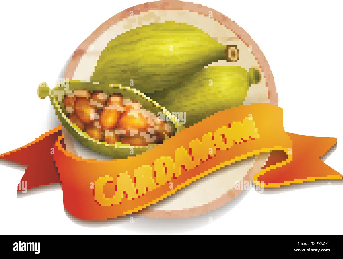 Cardamom ribbon badge Stock Vector Image & Art - Alamy