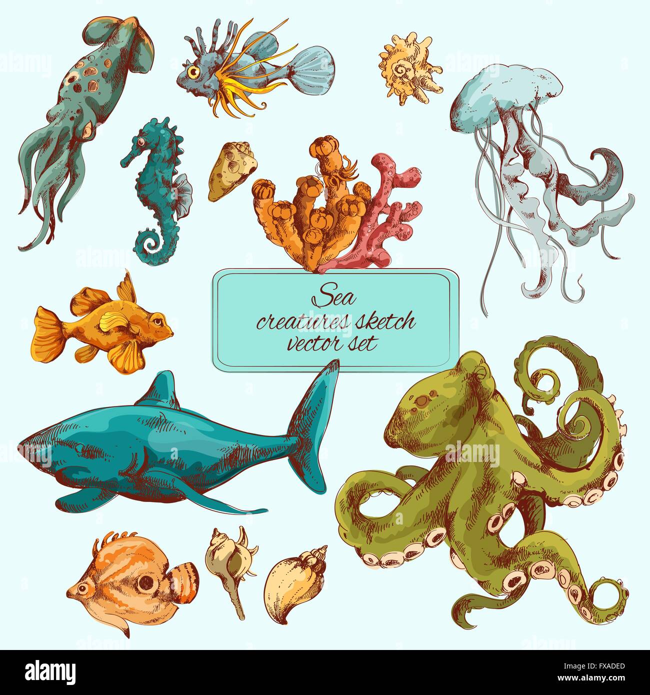 Colored jelly fish Stock Vector Images - Alamy