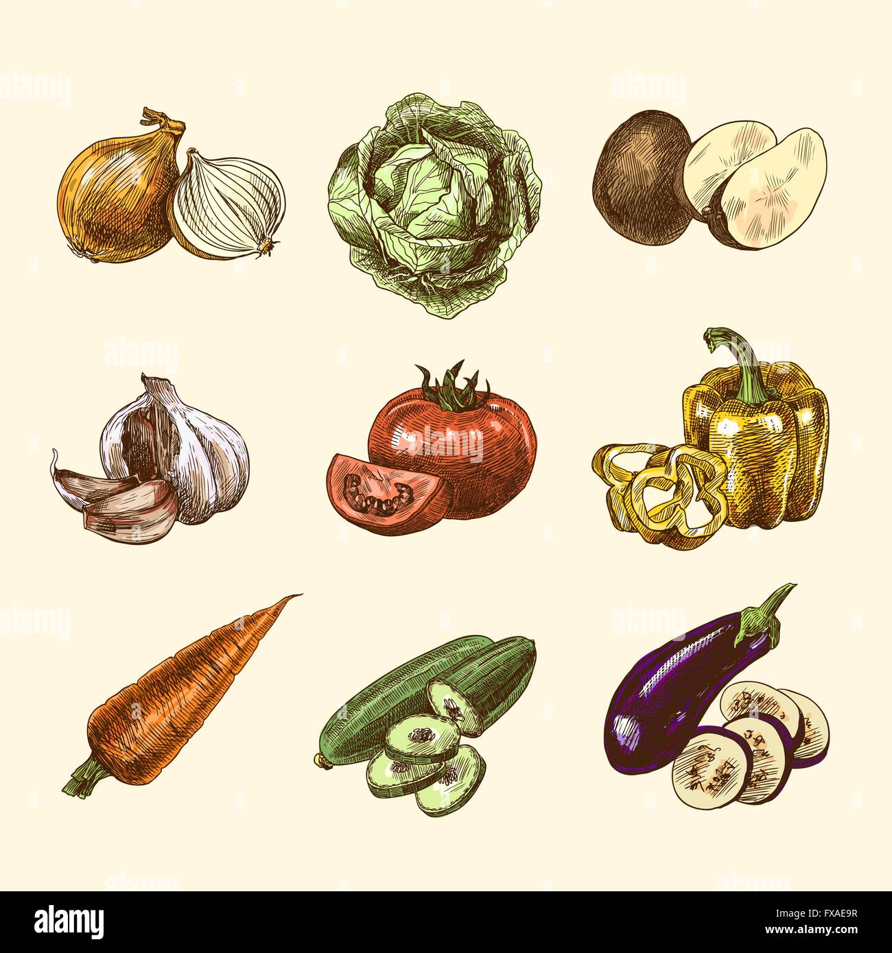 Vegetables sketch set color Stock Vector Image & Art - Alamy