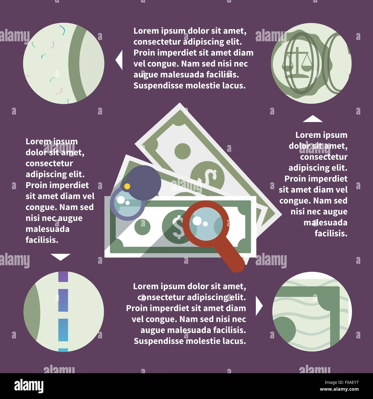 Money inspect infographic Stock Vector Image & Art - Alamy