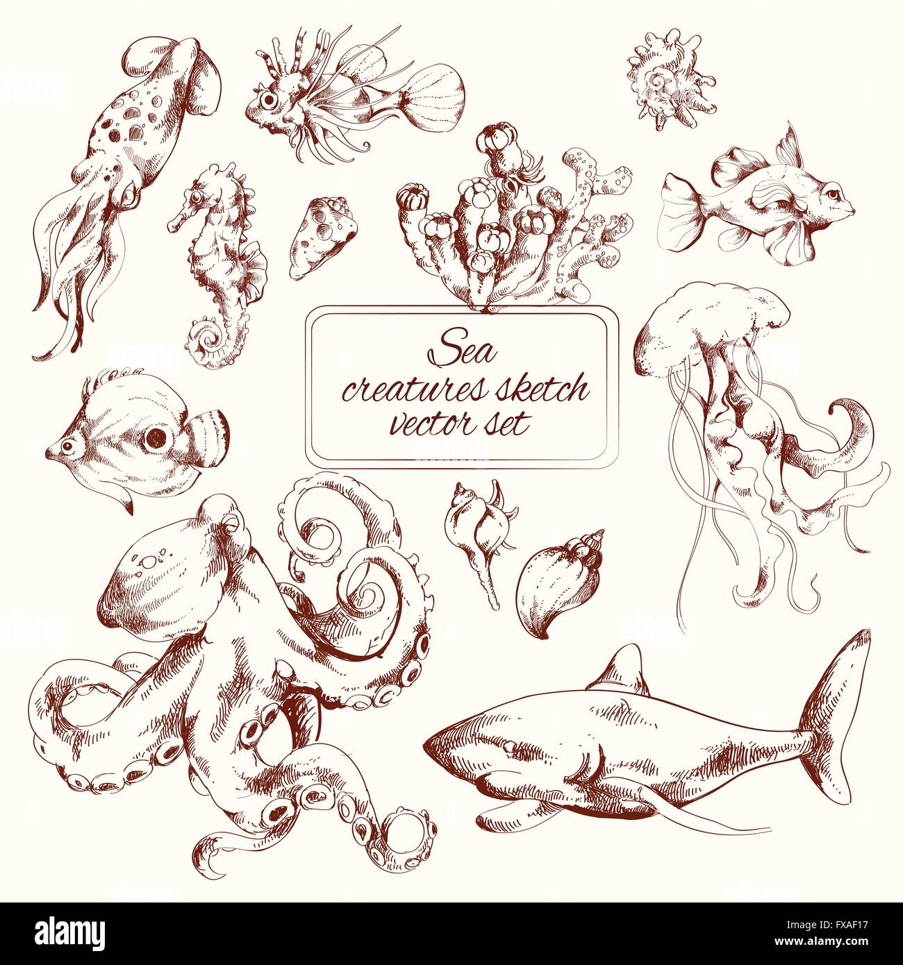 Sea creatures sketch Stock Vector Image & Art - Alamy