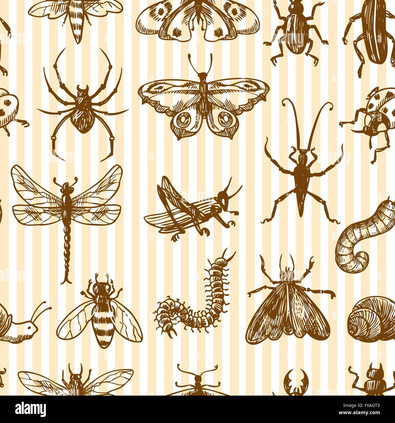 Mosquito wrap Stock Vector Images - Alamy