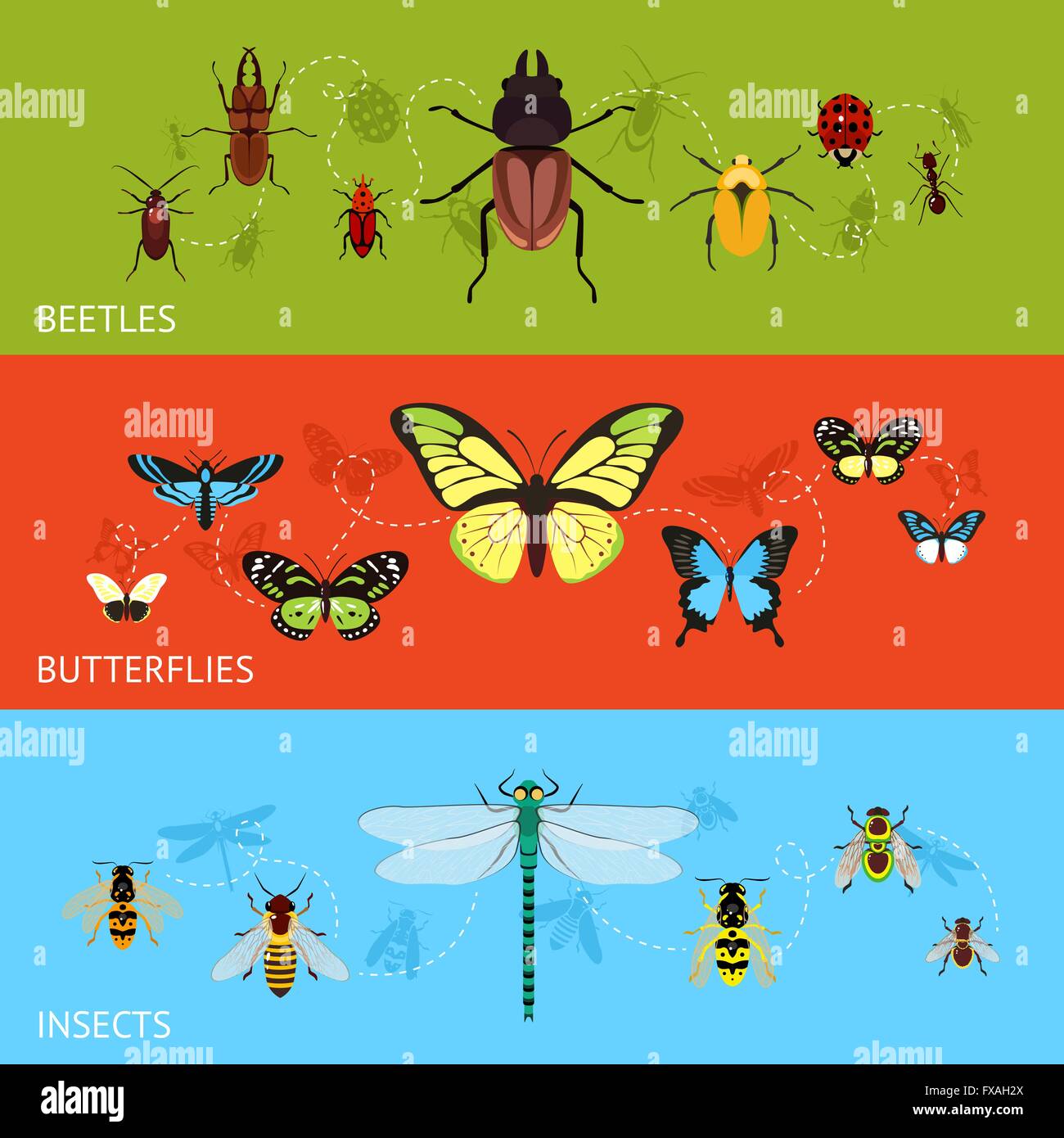 Insects banner set Stock Vector Image & Art - Alamy