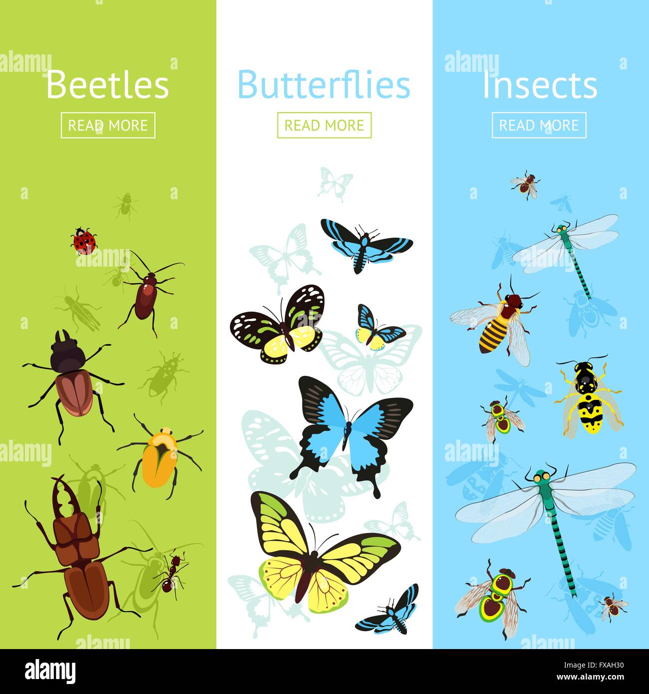 Insects banner set Stock Vector Image & Art - Alamy