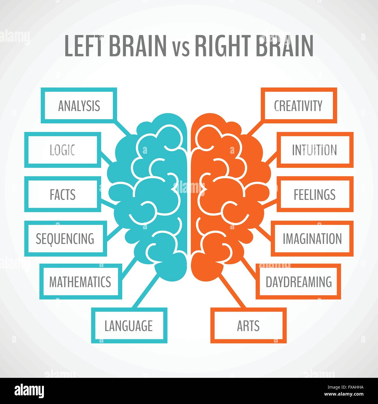 Brain hemispheres infographics Stock Vector Image & Art - Alamy