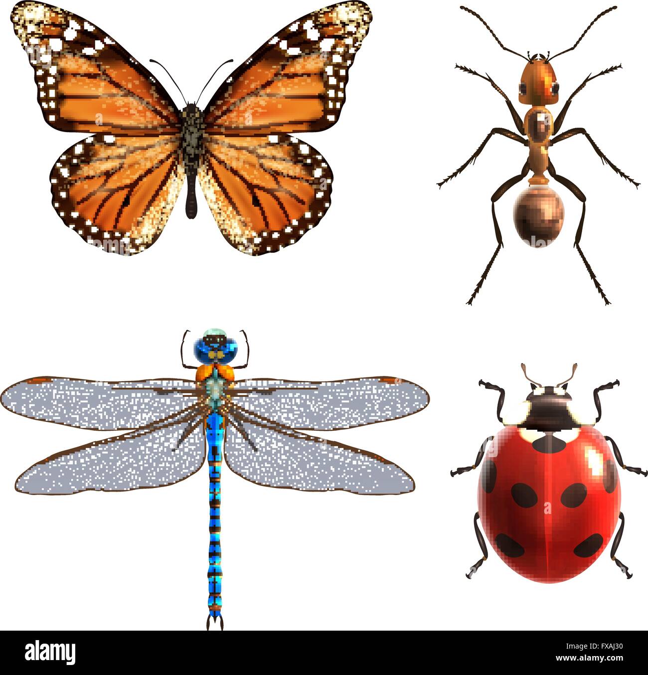 Insects realistic set Stock Vector Image & Art - Alamy
