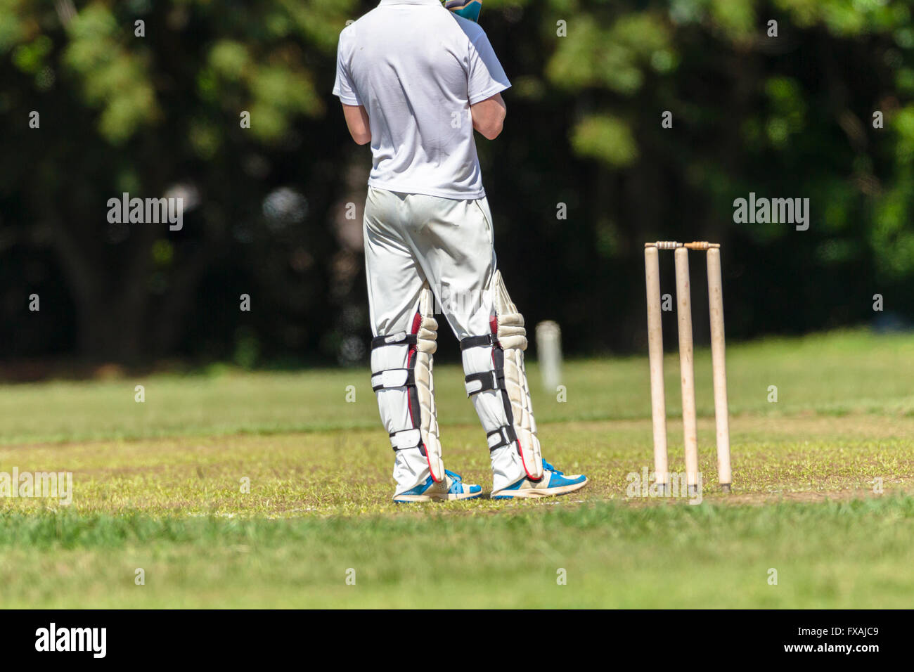 Cricket batsman teenager closeup action photo game bat ball game Stock ...
