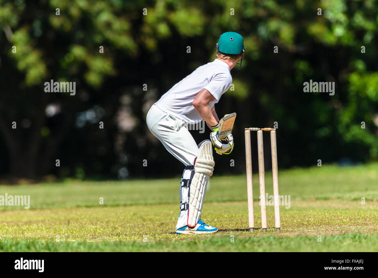 Cricket batsman hi-res stock photography and images - Alamy