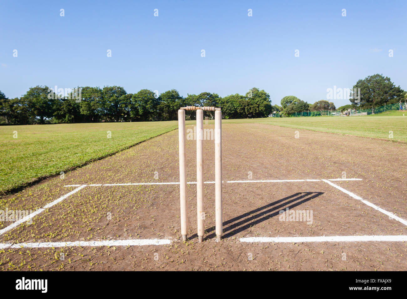 Cricket batsman teenager closeup action photo game bat ball game Stock ...