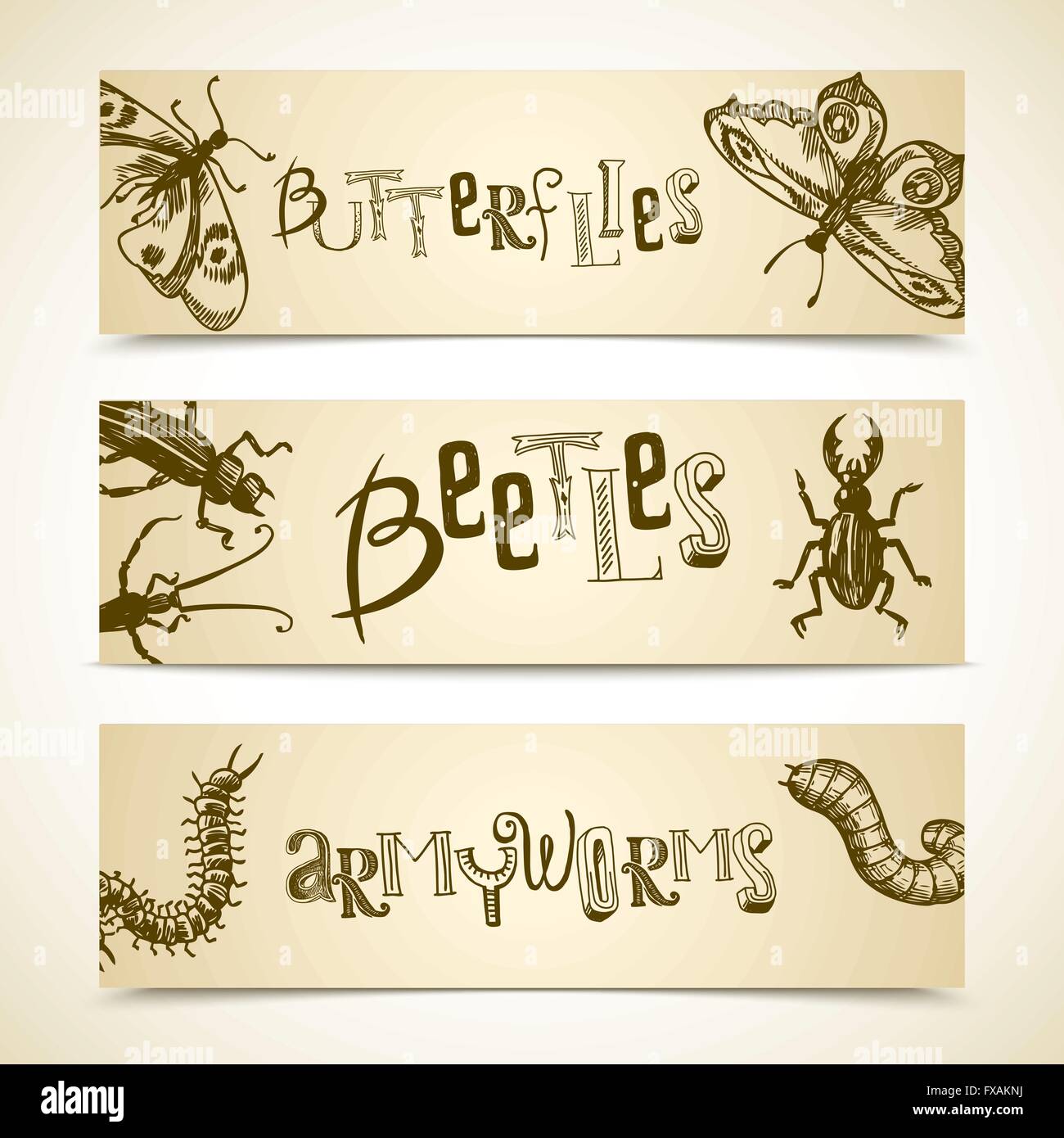 Insects banner set Stock Vector Image & Art - Alamy