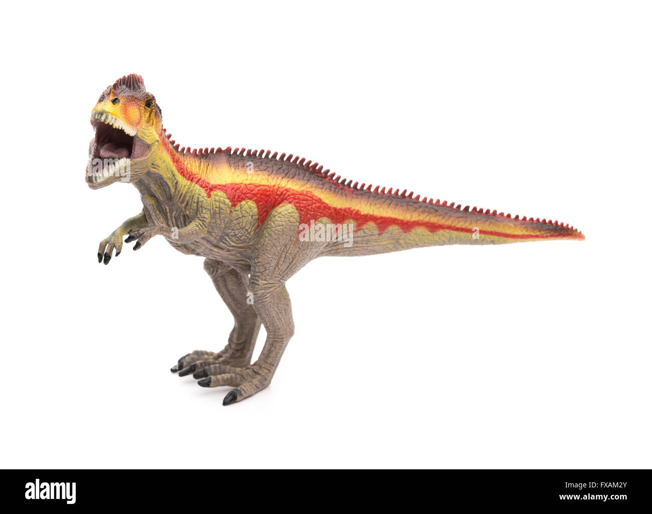 side view Giganotosaurus toy on a white background Stock Photo - Alamy