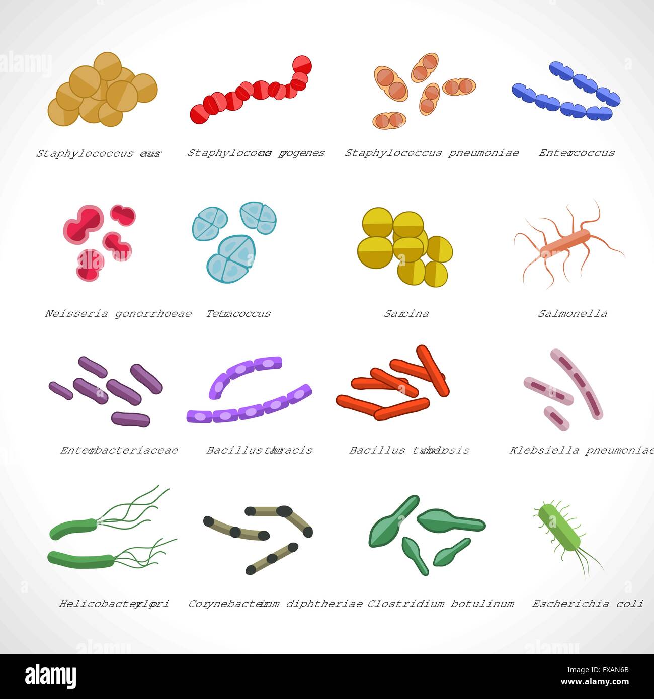 Bacteria icons set Stock Vector Image & Art - Alamy